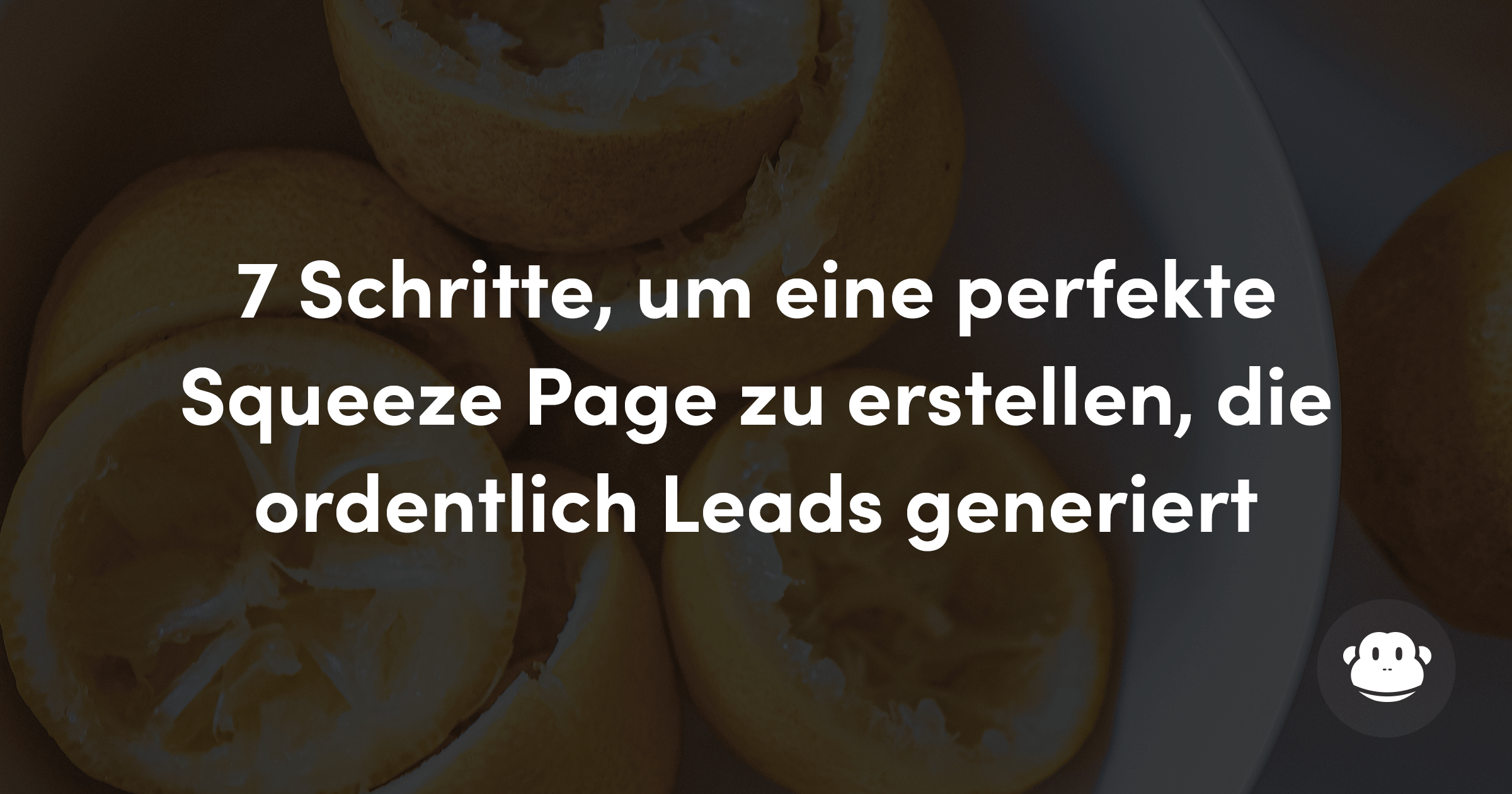 7 Schritte, um eine perfekte Squeeze Page zu erstellen - Chimpify