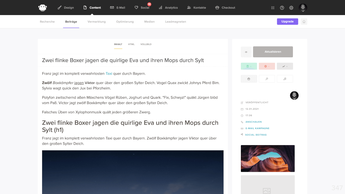 Chimpify – Die einfache All-in-One Creator-Marketing-Plattform.