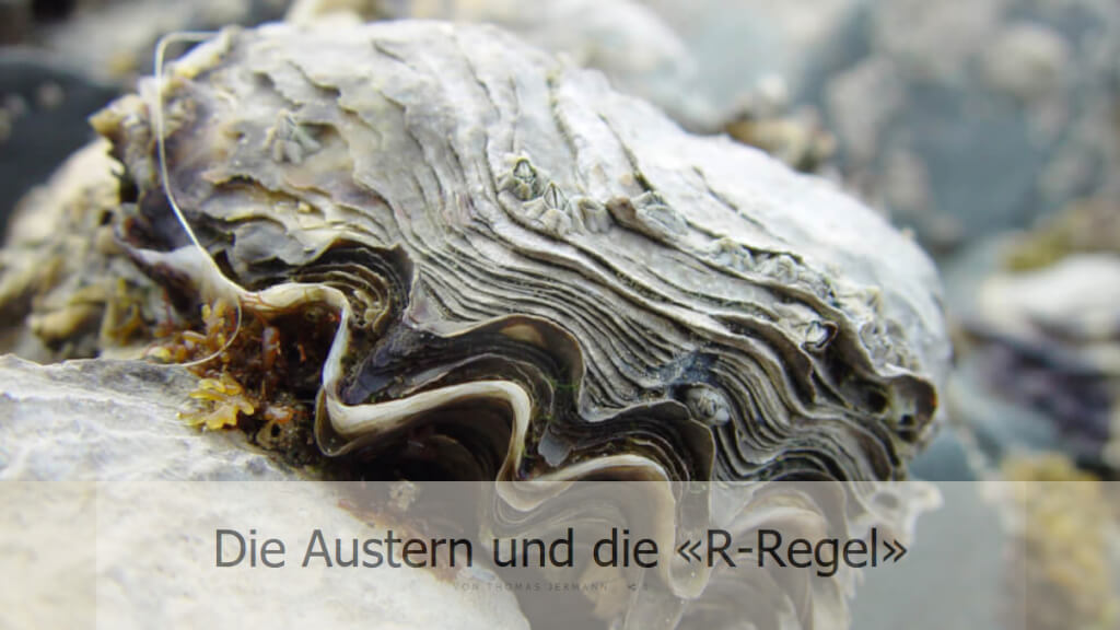 Austern und die R-Regel - ThomasJermann.ch