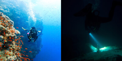 How can your disrupt yourself?