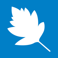 StarLeaf - Wozu braucht man das? Erfahrungen und Alternativen!