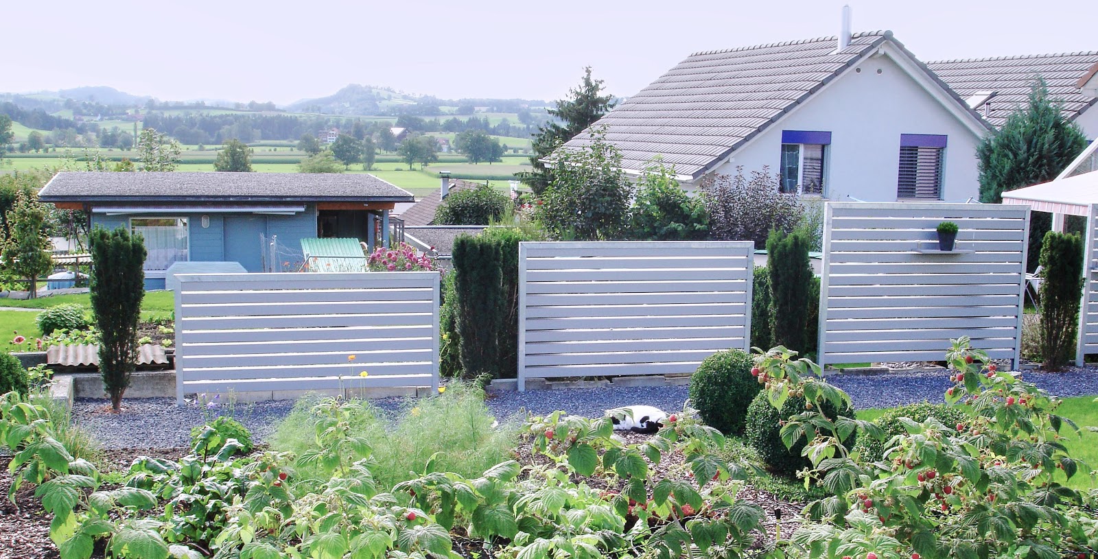 Sichtschutzwand: 5 Tipps für den perfekten Sichtschutz